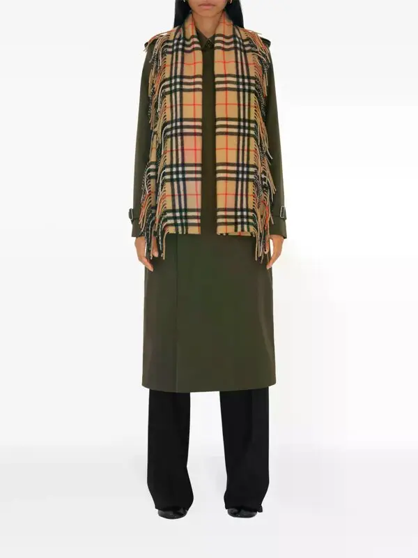 Burberry Happy Fringe Scarf - Neutrals