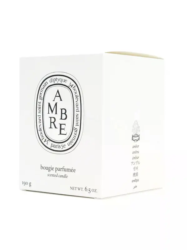 DIPTYQUE Ambre 190 Candle