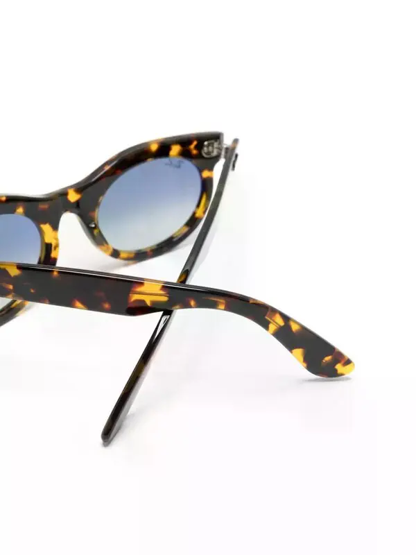 Ray-ban Wayfarer Oval-frame Sunglasses