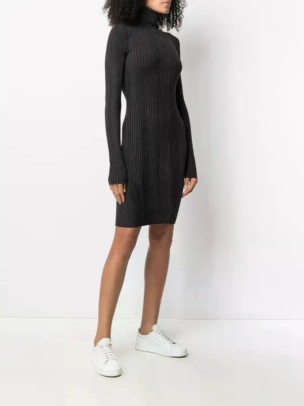 Wolford Ribbed Knit Turtleneck Dress