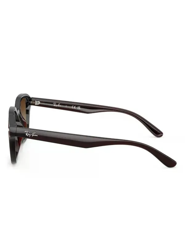 Ray-ban Oversized Sunglasses - Brown