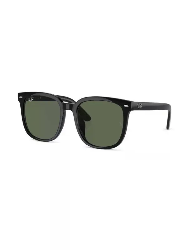 Ray-ban Rb4401d Sunglasses