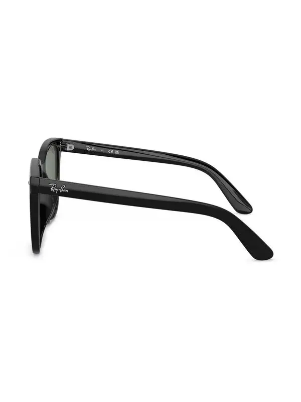 Ray-ban Rb4401d Sunglasses