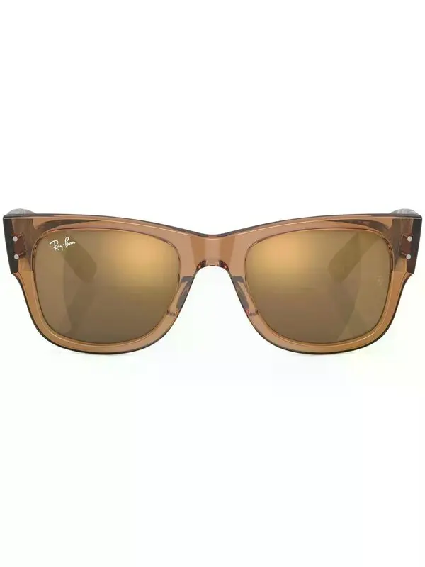Ray-ban Wayfarer Frame Sunglasses - Brown