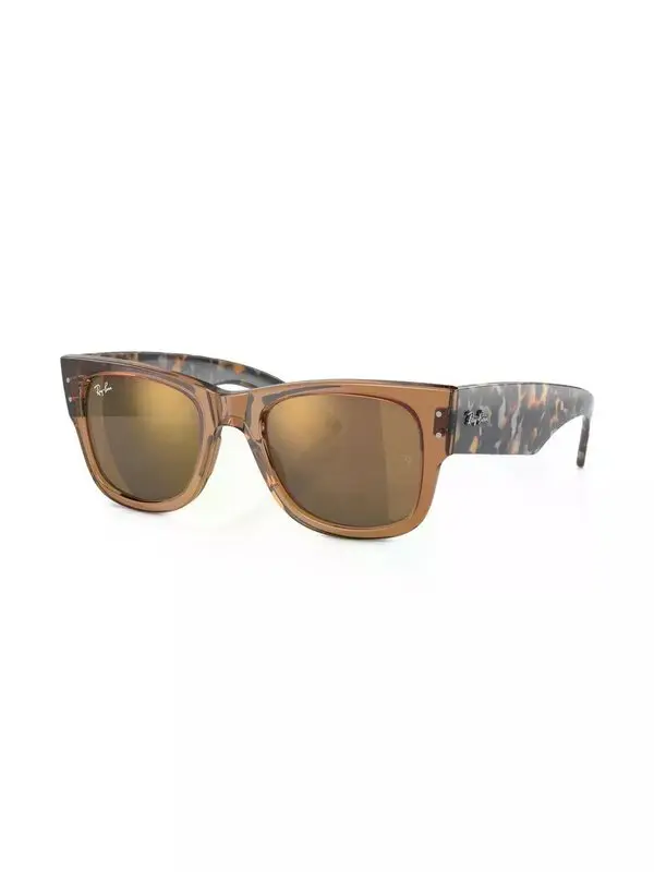 Ray-ban Wayfarer Frame Sunglasses - Brown