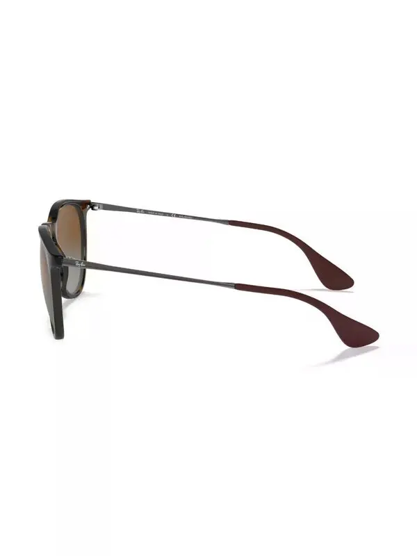 Ray-ban Erika Sunglasses