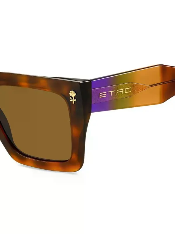 Etro Colourstripes Sunglasses - Brown