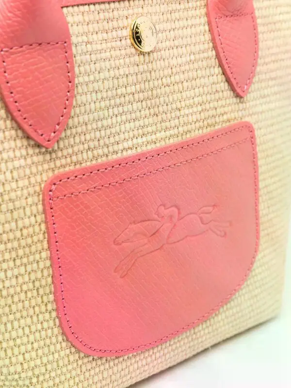 Longchamp Le Pliage Xs Tote Bag