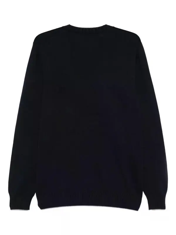 SAPIO Cotton Crew Neck Sweater