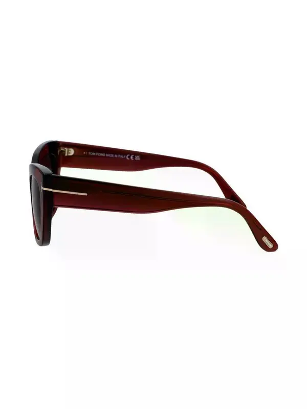 TOM FORD Pilot-frame Sunglasses