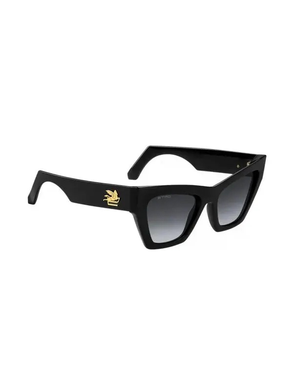 Etro Screen Sunglasses - Black