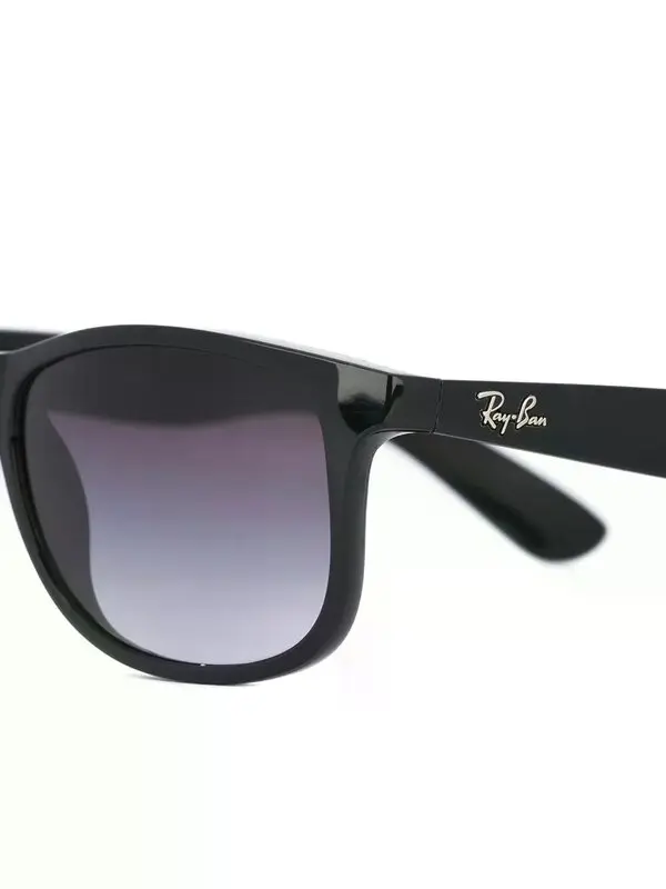 Ray-ban Andy Sunglasses
