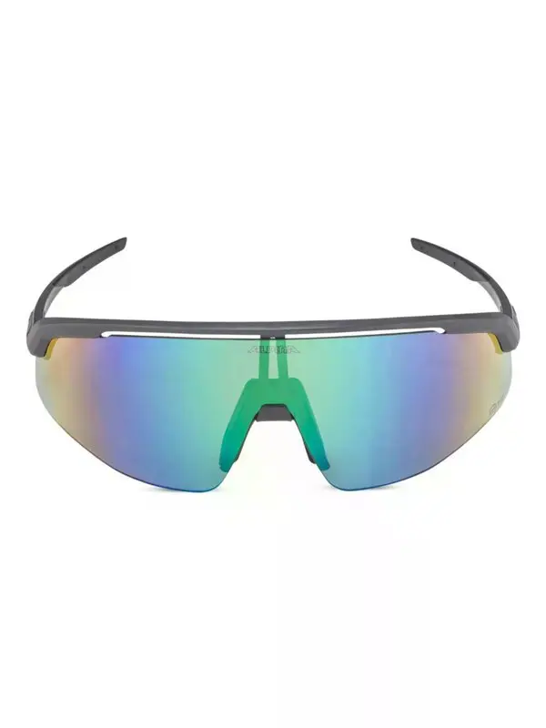 ALPINA Turbo Pro Q-lite Sunglasses - Grey