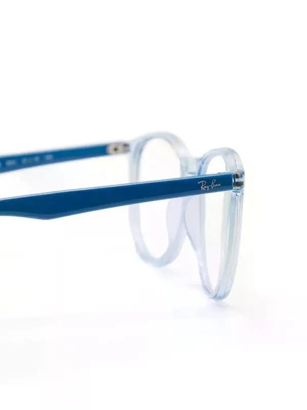 Ray-ban Erika Optics Glasses