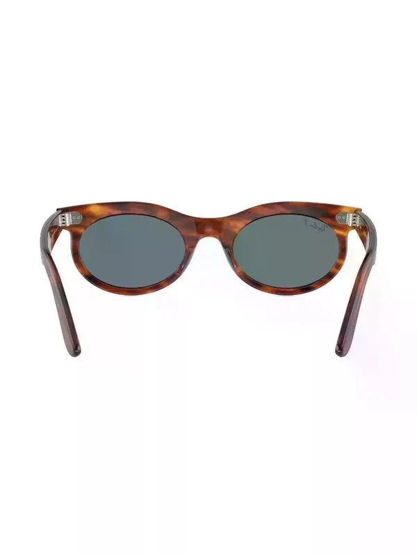 Ray-ban Wayfarer Oval Frame Sunglasses