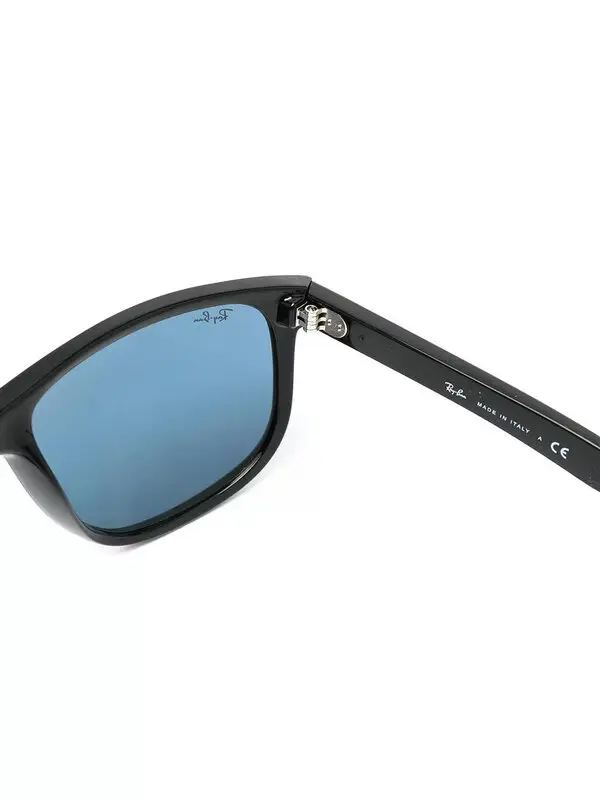 Ray-ban D-frame Sunglasses