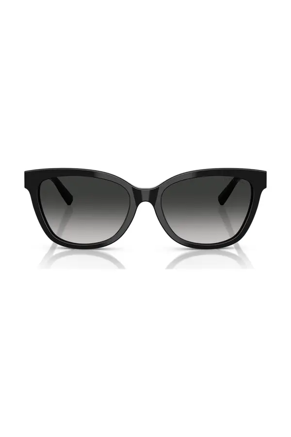 TIFFANY SUNGLASS HUT Cat Eye Sunglasses