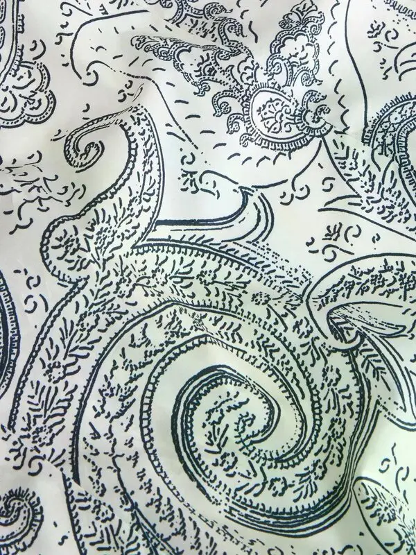 Etro Paisley Print Button-up Shirt