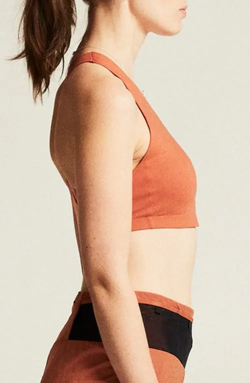 CRAFT Collective Padded Sports Bra - Sequoia