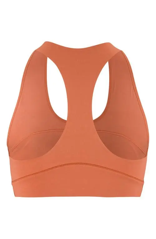 CRAFT Collective Padded Sports Bra - Sequoia