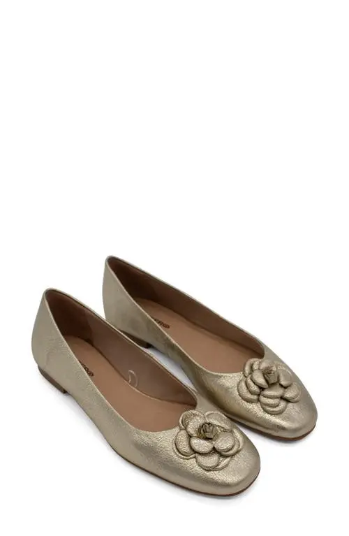BOTTERO Botsamya Ballerina Flat - Dourado