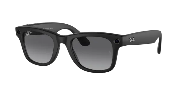 Ray-ban Wayfarer Sunglasses - Graphite