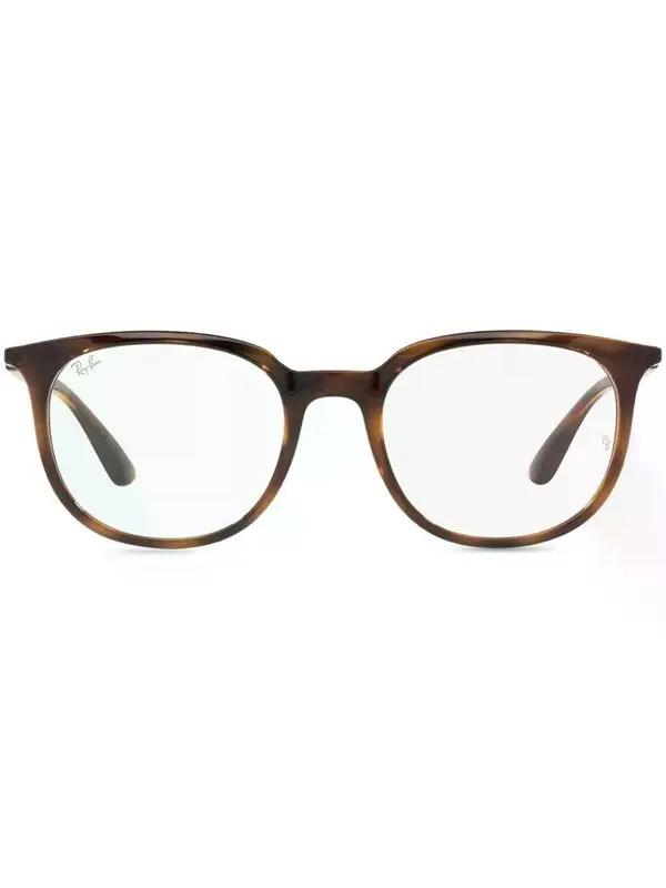 Ray-ban Round-frame Glasses