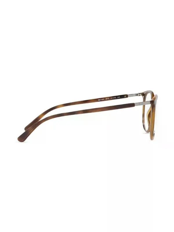 Ray-ban Round-frame Glasses