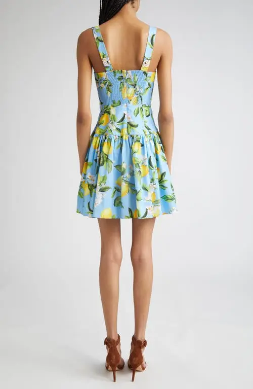 L'Agence Lemon Print Corset Mini Dress In Sky Blue/ Yellow Floral Lemon -  60% Off | Editorialist