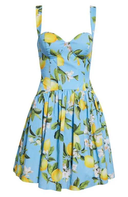 L'Agence Lemon Print Corset Mini Dress In Sky Blue/ Yellow Floral Lemon -  60% Off | Editorialist