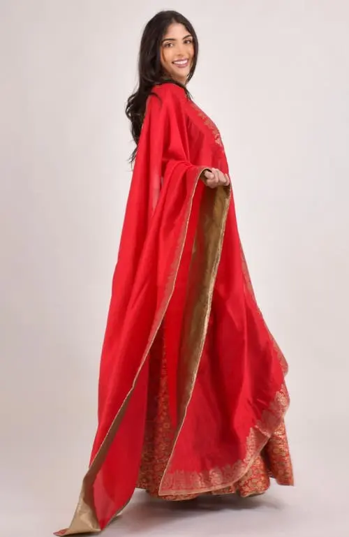 RAAS Banarasi Jacquard Lehenga Choli Set - Red