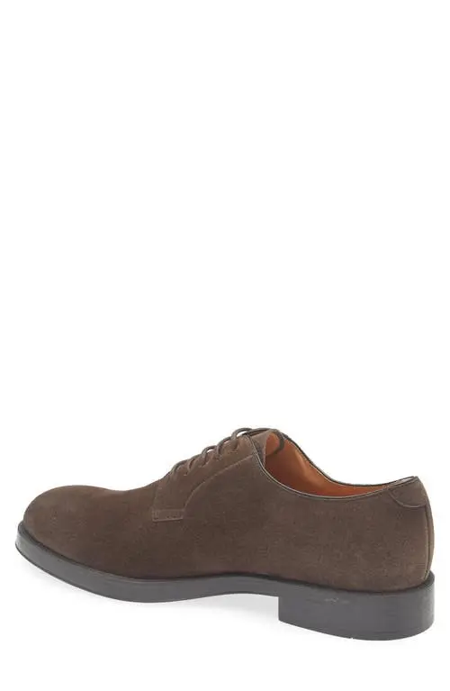 TOD'S Plain Toe Derby - Testa Moro