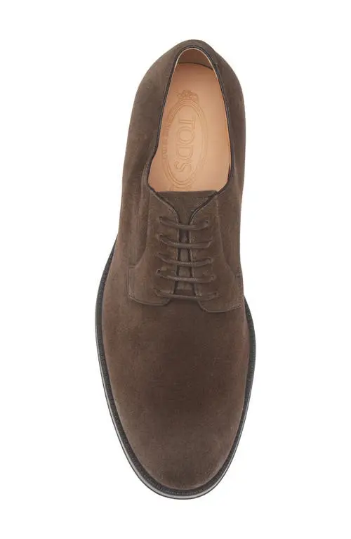 TOD'S Plain Toe Derby - Testa Moro