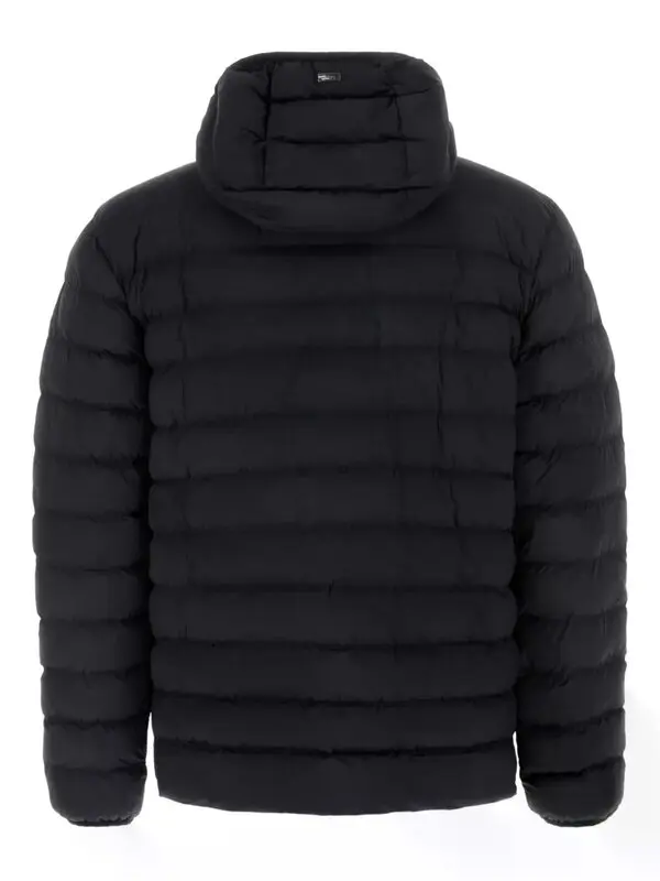 Herno Padded Hooded Jacket - Black