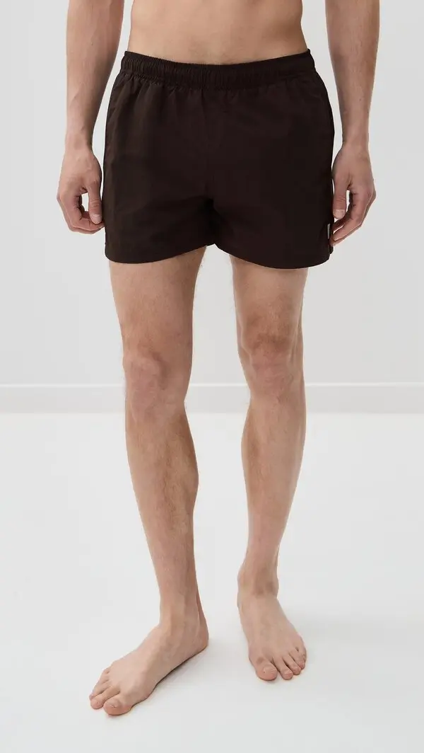 AUTO-REPLY Sebastian Swim Trunks - Driftwood
