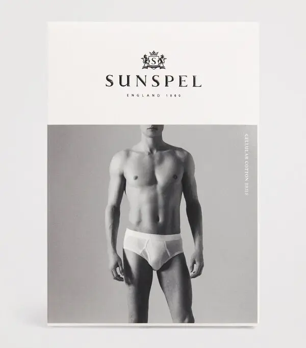 Sunspel Cotton Mesh Cellular Briefs