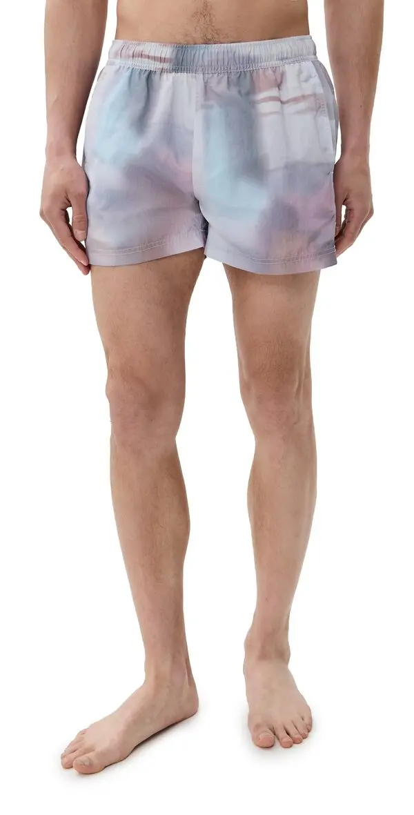 AUTO-REPLY Printed Sebastian Swim Trunks - Painterly Blur