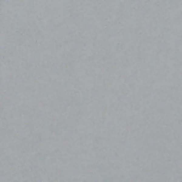 Loewe Cotton Tailored Anagram Shorts