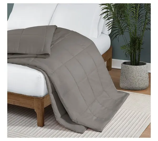 TRULY SOFT Everyday Solid Twin/txl Down Alterna Tive Blanket