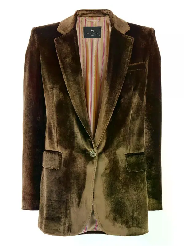 Etro Velvet Single-button Blazer - Brown