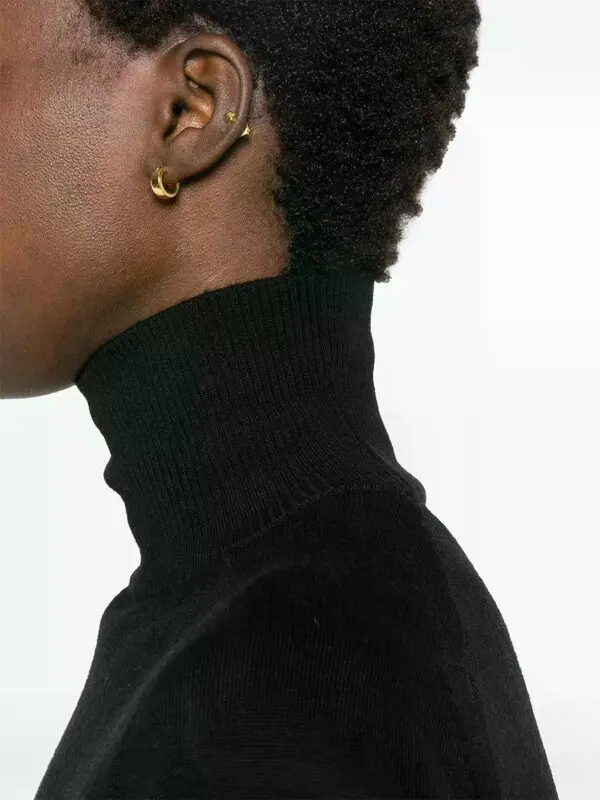 Sportmax Roll-neck Wool Jumper