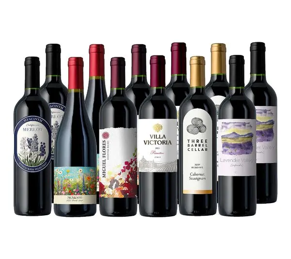 VINO VOYAGE Red Wine Lovers 12 Wines Variety - One-color