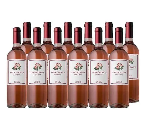 VINO VOYAGE Rose All Day 12 Bottles - One-color