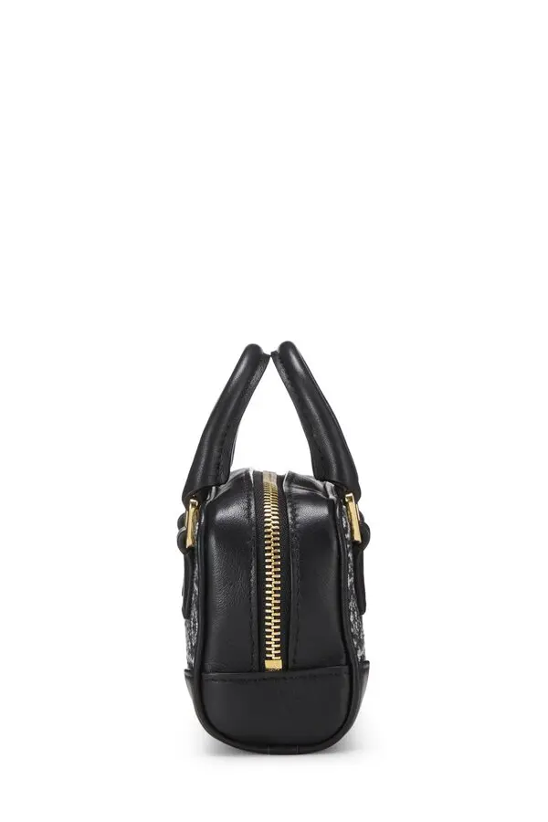 Loewe Jacquard Amazona