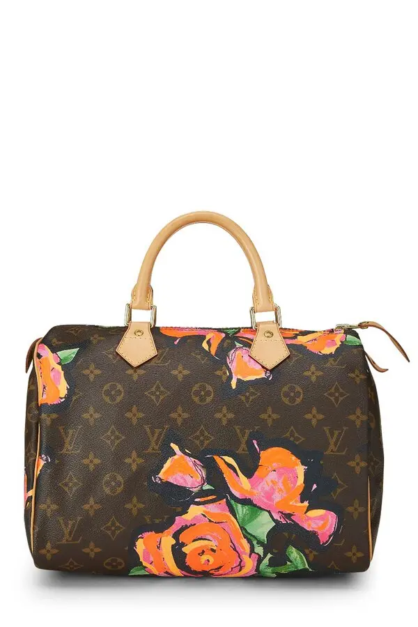 LOUIS VUITTON Speedy 30 Handbag