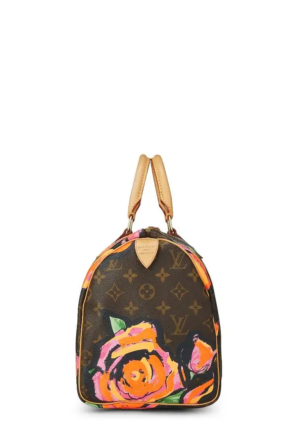 LOUIS VUITTON Speedy 30 Handbag
