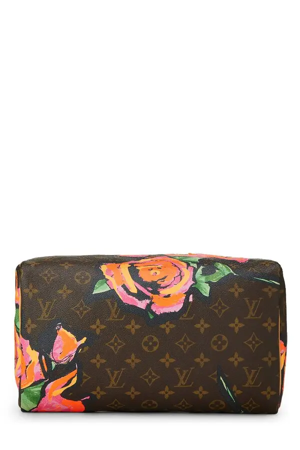 LOUIS VUITTON Speedy 30 Handbag