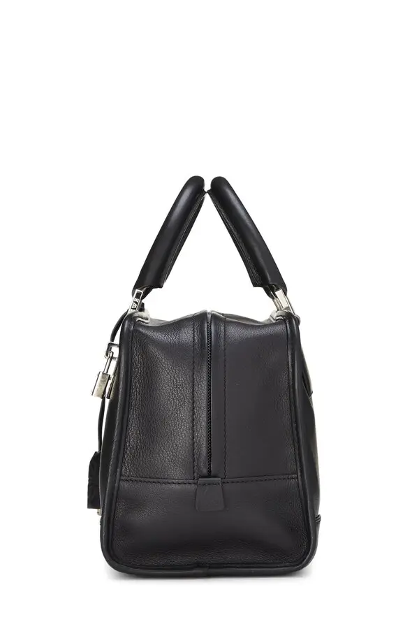 Loewe Leather Amazona 28