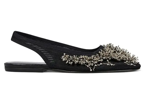 Dries Van Noten Embroidered Ballet Flats