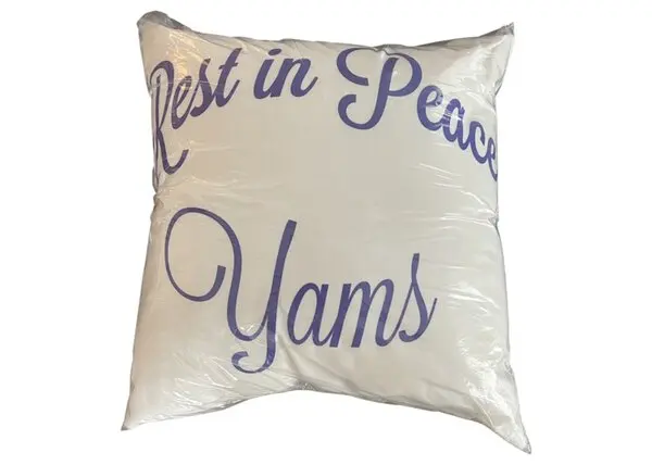YAMS DAY X Coral Studios Cozy Forever Pillow - White